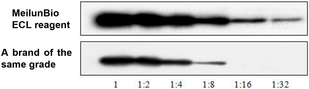 Meilunbio® fg super sensitive ECL luminescence reagent – meilunbio-global