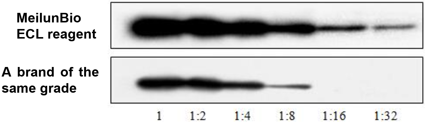 Meilunbio® fg super sensitive ECL luminescence reagent – meilunbio-global